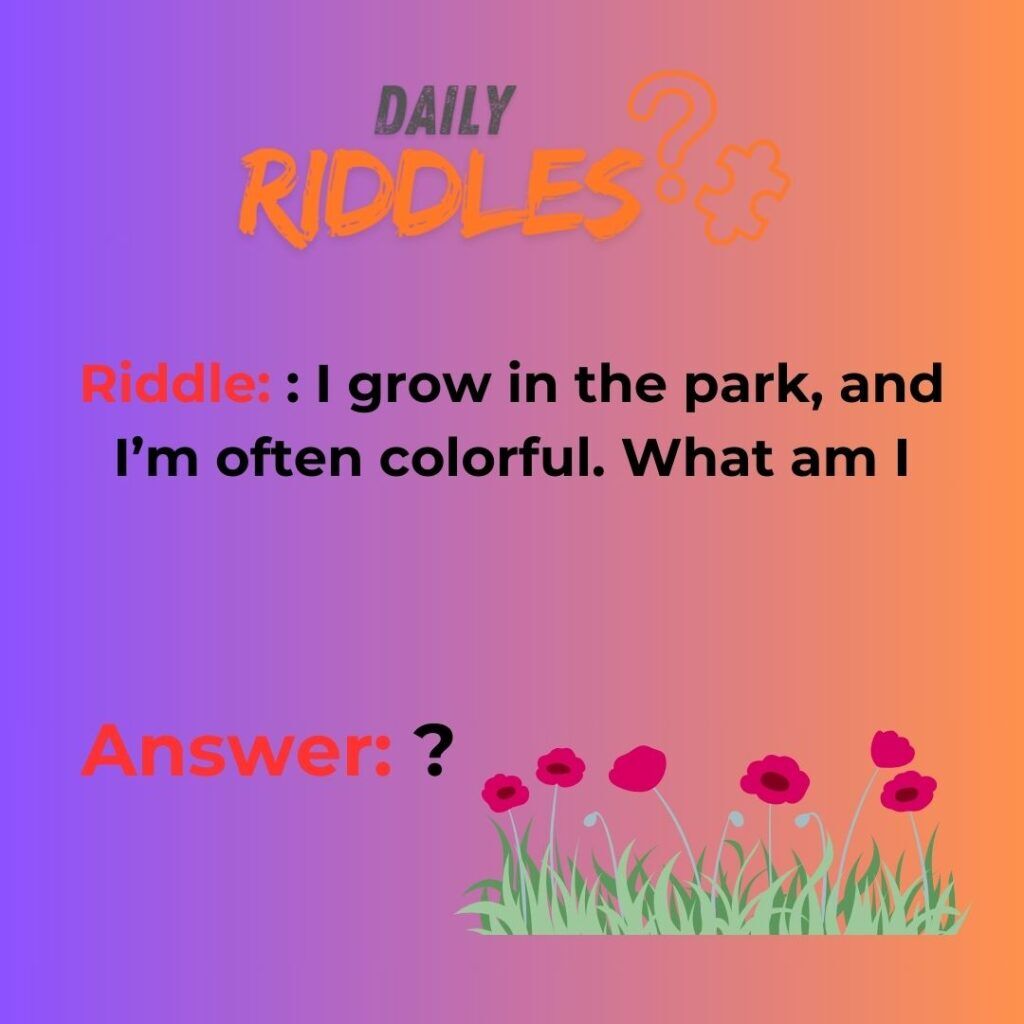 150 Park Riddles to Spark Your Imagination - Daily Riddles