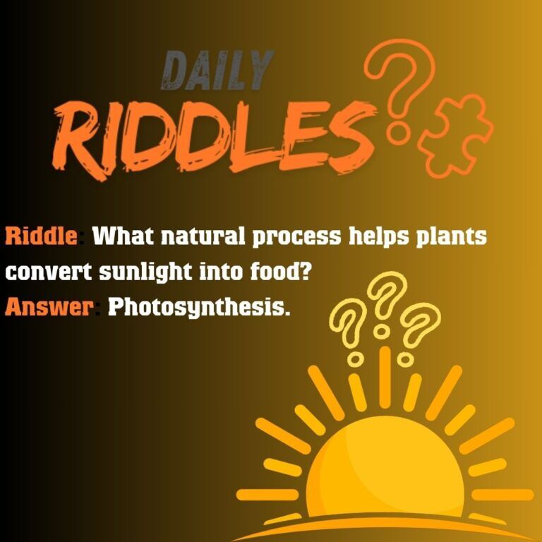 150 Amazing The Sun Riddles for Kids and Adults - Daily Riddles